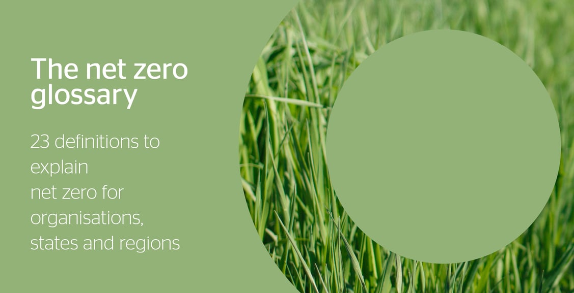 Net Zero Emissions the Glossary