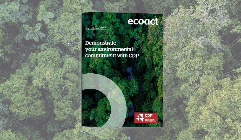 EcoAct's CDP Factsheet