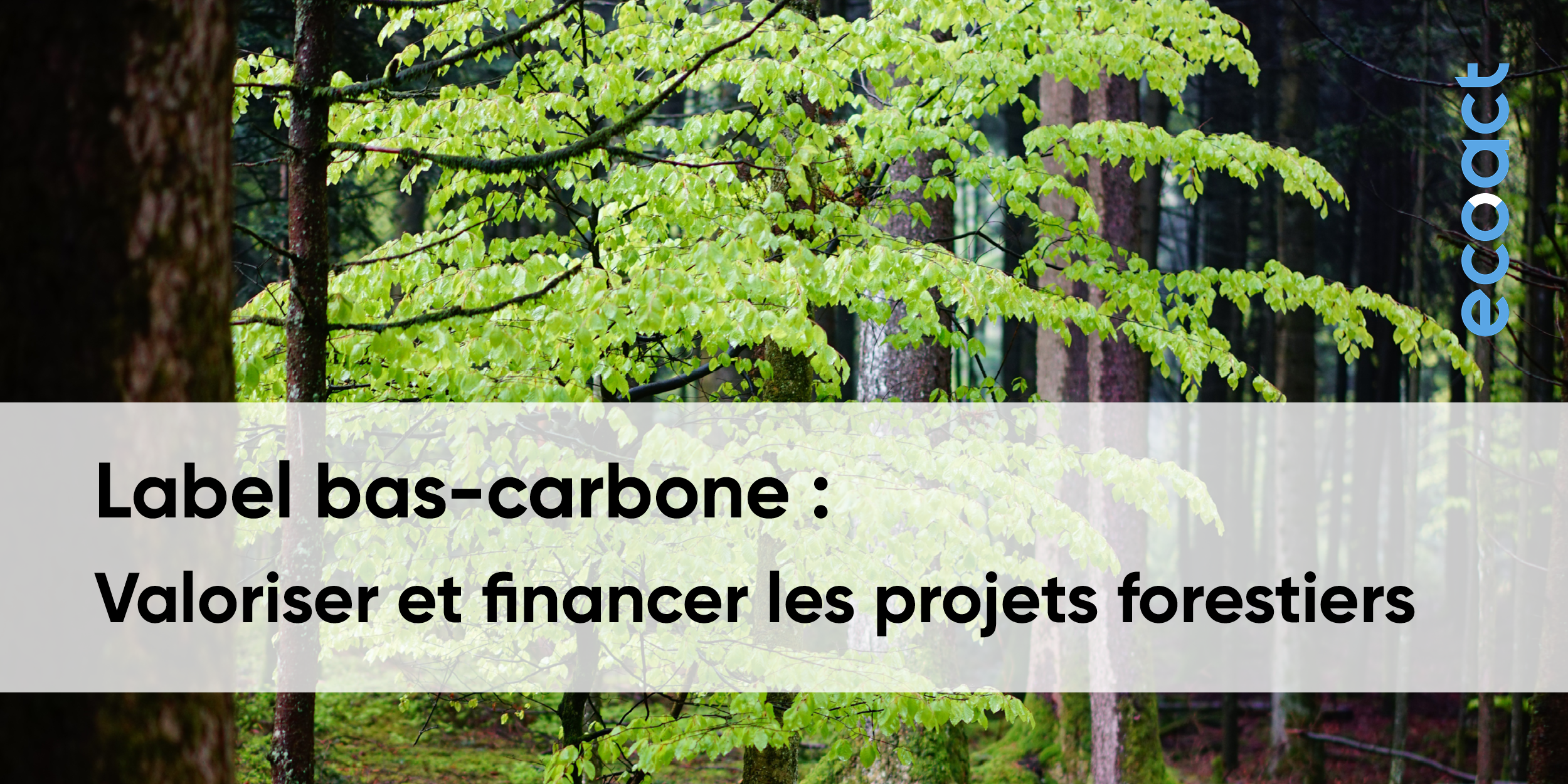 Téléchargez notre fiche d'information sur le label bas-carbone